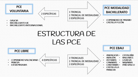 Estructura de las PCE según la ciudad y el grado universitario ...